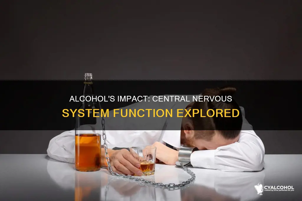 Alcohol's Impact: Central Nervous System Function Explored | CyAlcohol