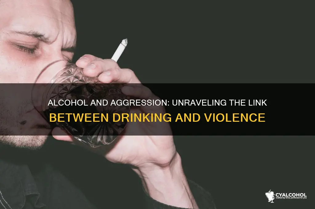 Alcohol And Aggression: Unraveling The Link Between Drinking And ...