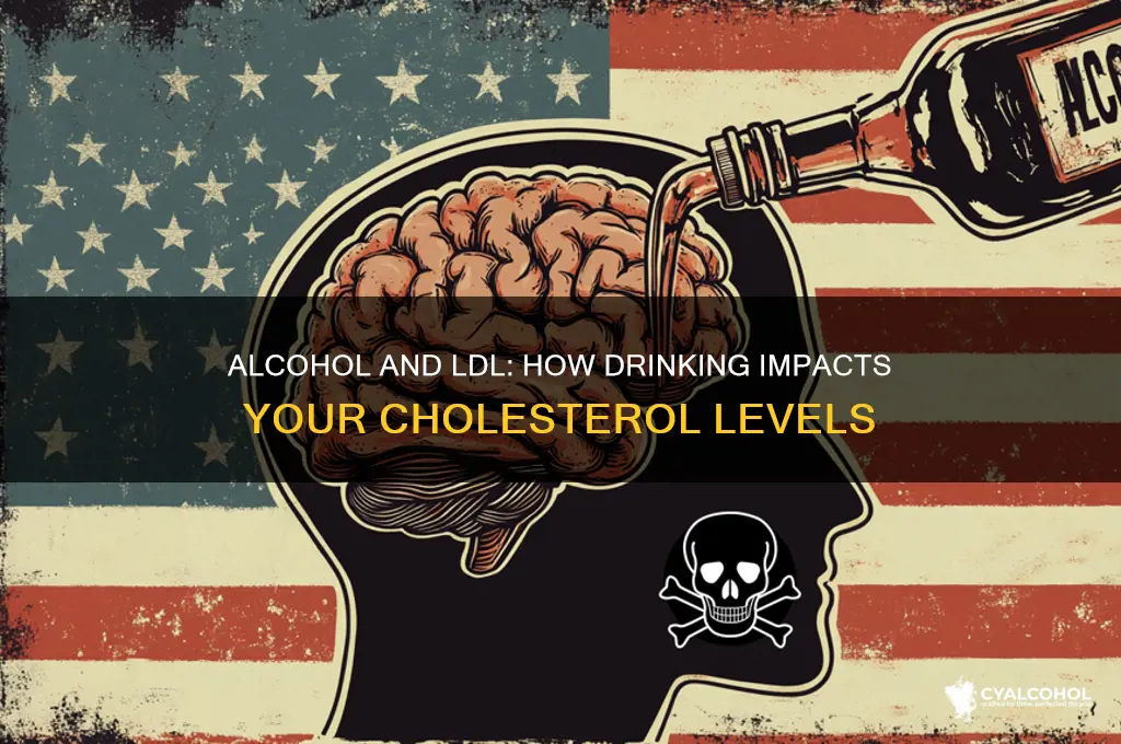 Alcohol And Ldl: How Drinking Impacts Your Cholesterol Levels | CyAlcohol