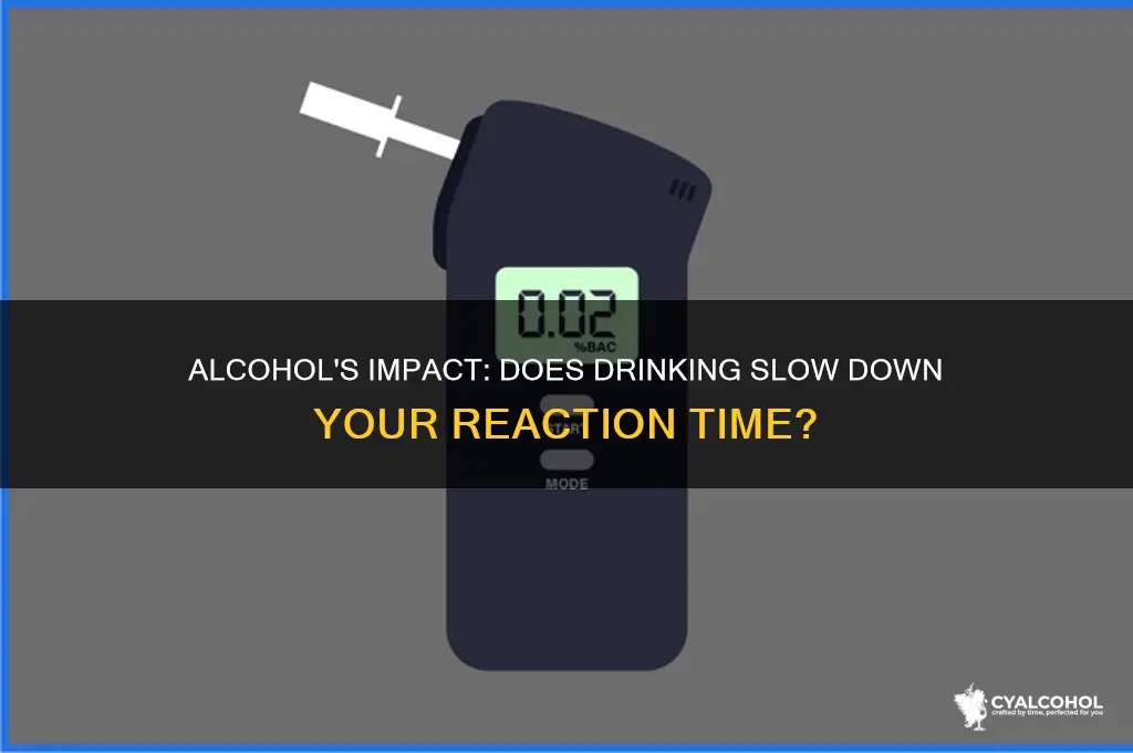 Alcohol's Impact: Does Drinking Slow Down Your Reaction Time? | CyAlcohol