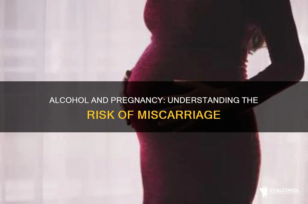 Alcohol And Pregnancy: Understanding The Risk Of Miscarriage | CyAlcohol