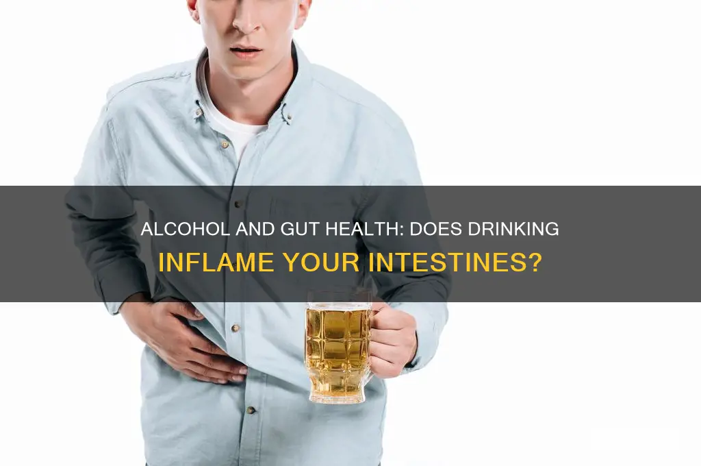 Alcohol And Gut Health: Does Drinking Inflame Your Intestines? | CyAlcohol
