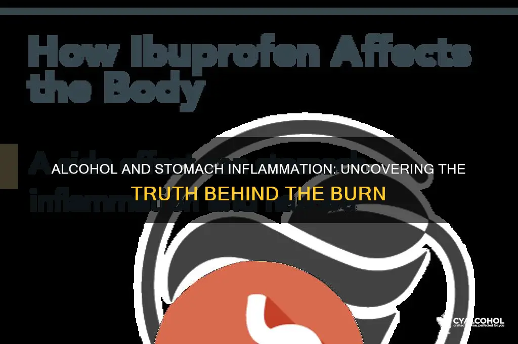 Alcohol And Stomach Inflammation: Uncovering The Truth Behind The Burn ...