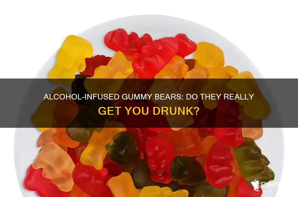 Alcohol-Infused Gummy Bears: Do They Really Get You Drunk? | CyAlcohol