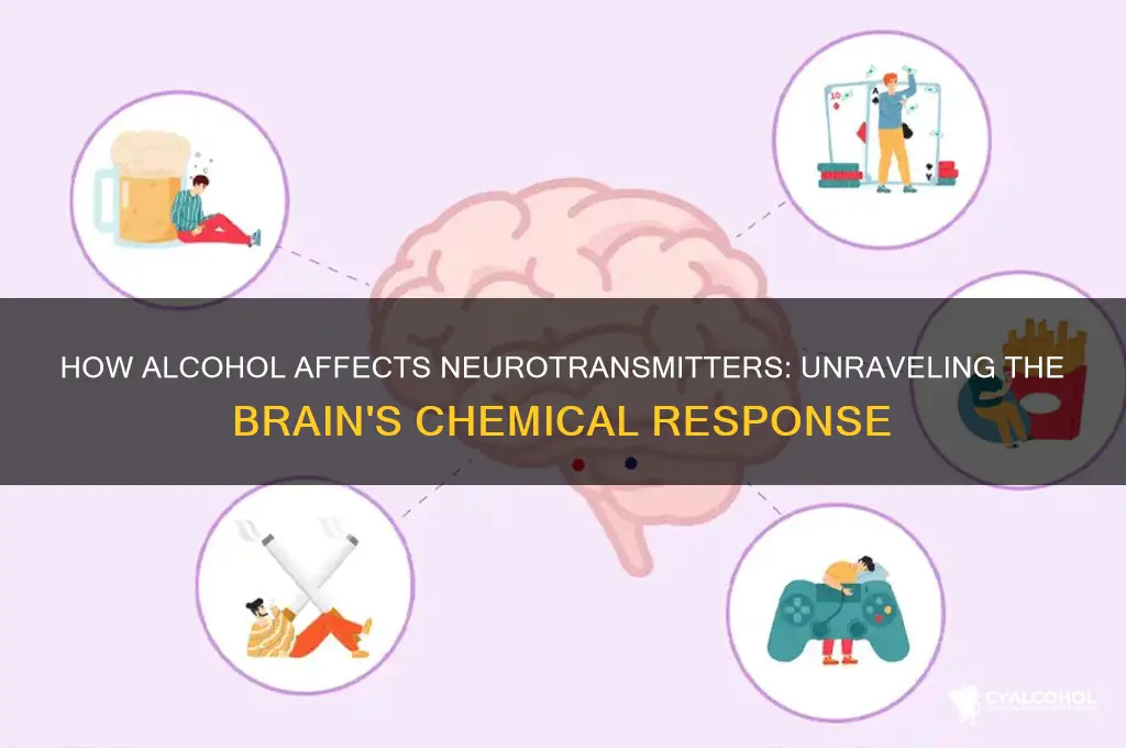 How Alcohol Affects Neurotransmitters: Unraveling The Brain's Chemical ...