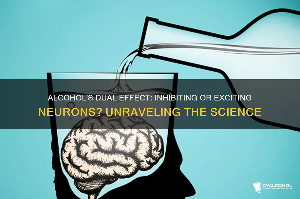 Alcohol's Dual Effect: Inhibiting Or Exciting Neurons? Unraveling The ...