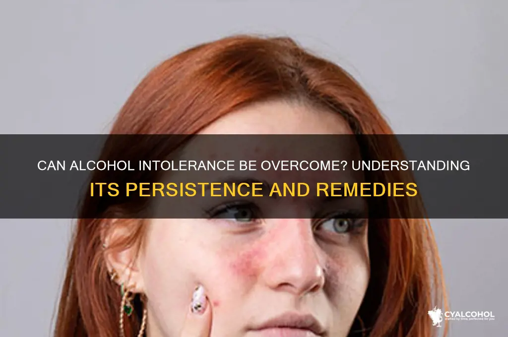 Can Alcohol Intolerance Be Overcome? Understanding Its Persistence And ...