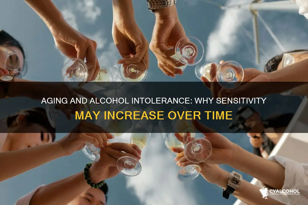 Aging And Alcohol Intolerance: Why Sensitivity May Increase Over Time ...