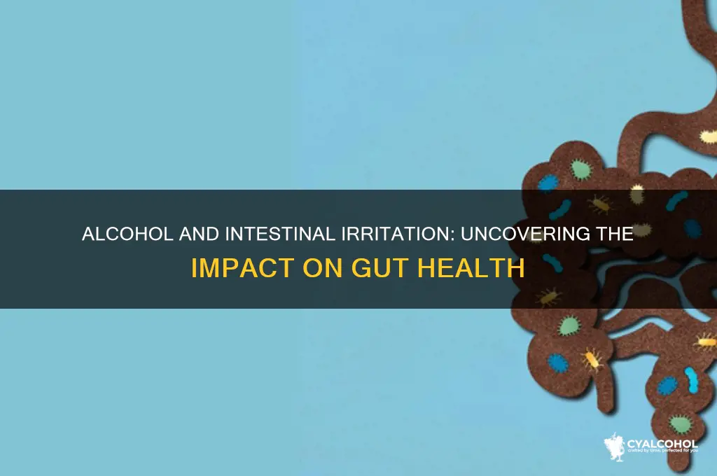 Alcohol And Intestinal Irritation: Uncovering The Impact On Gut Health ...