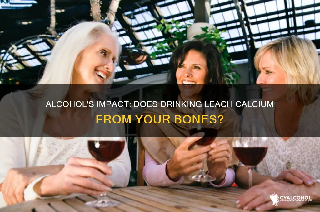 Alcohol's Impact: Does Drinking Leach Calcium From Your Bones? | CyAlcohol