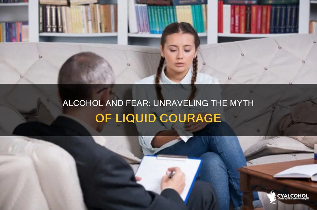 Alcohol And Fear: Unraveling The Myth Of Liquid Courage | CyAlcohol