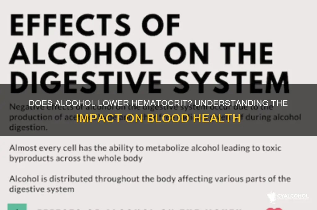 Does Alcohol Lower Hematocrit? Understanding The Impact On Blood Health ...