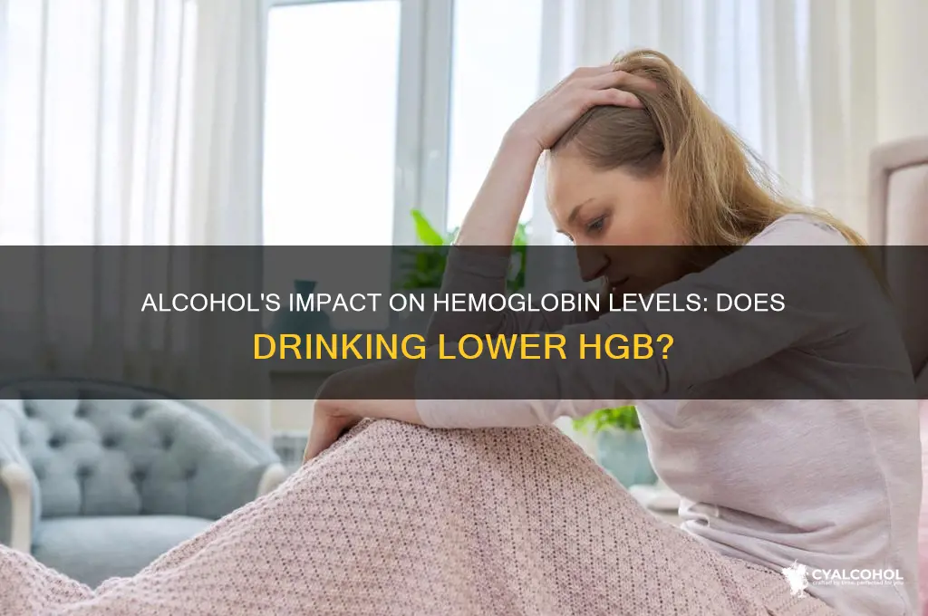 Alcohol's Impact On Hemoglobin Levels: Does Drinking Lower Hgb? | CyAlcohol