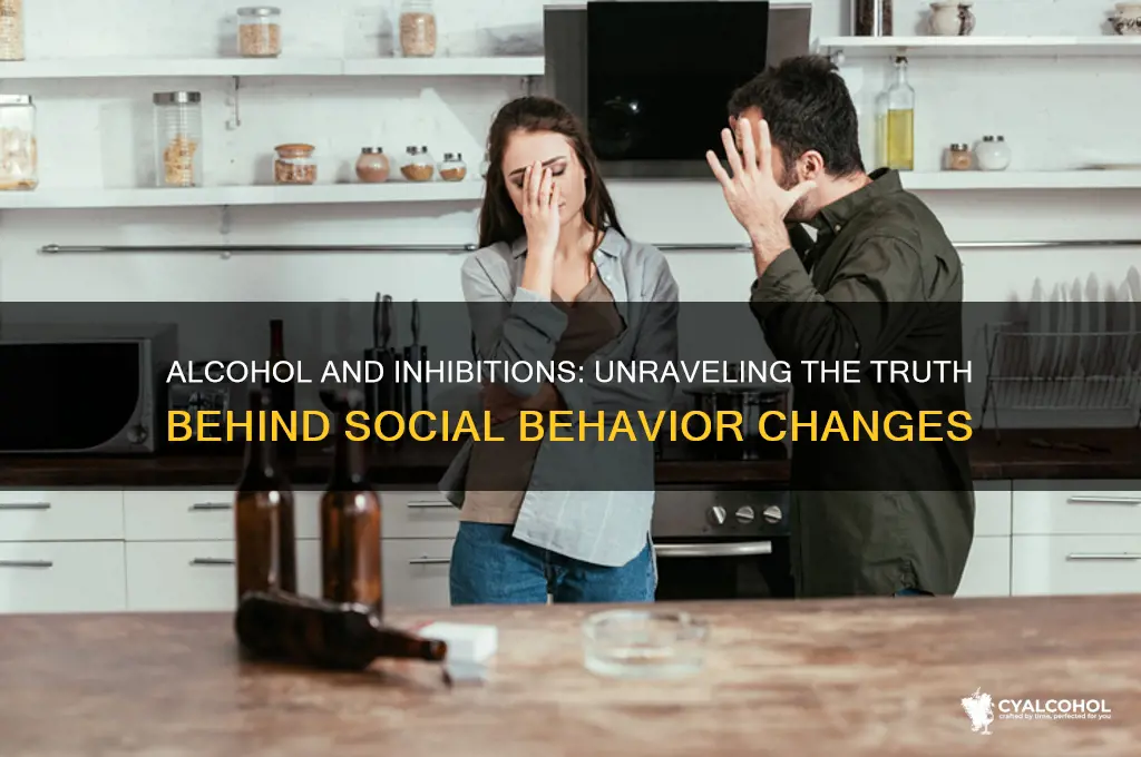 Alcohol And Inhibitions: Unraveling The Truth Behind Social Behavior ...
