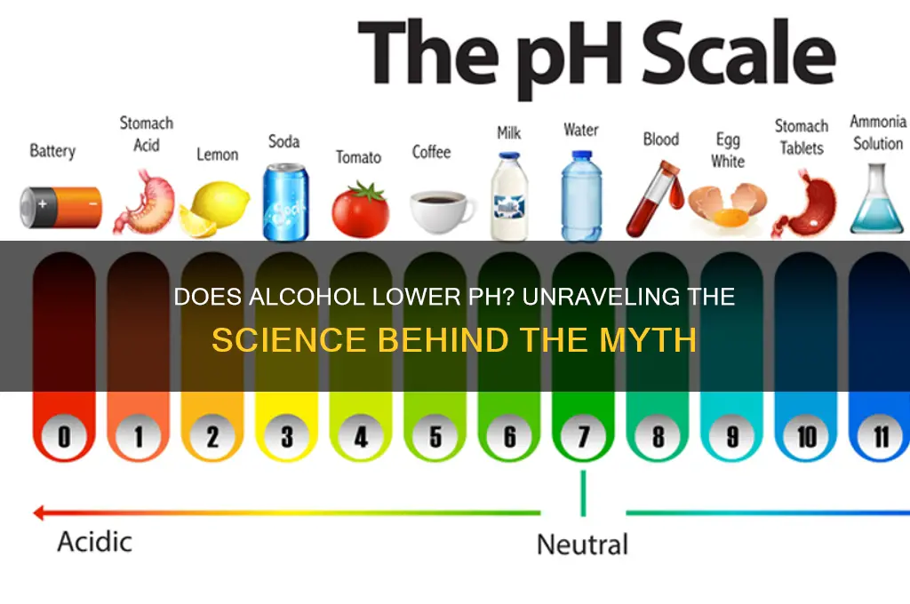 Does Alcohol Lower Ph? Unraveling The Science Behind The Myth | CyAlcohol