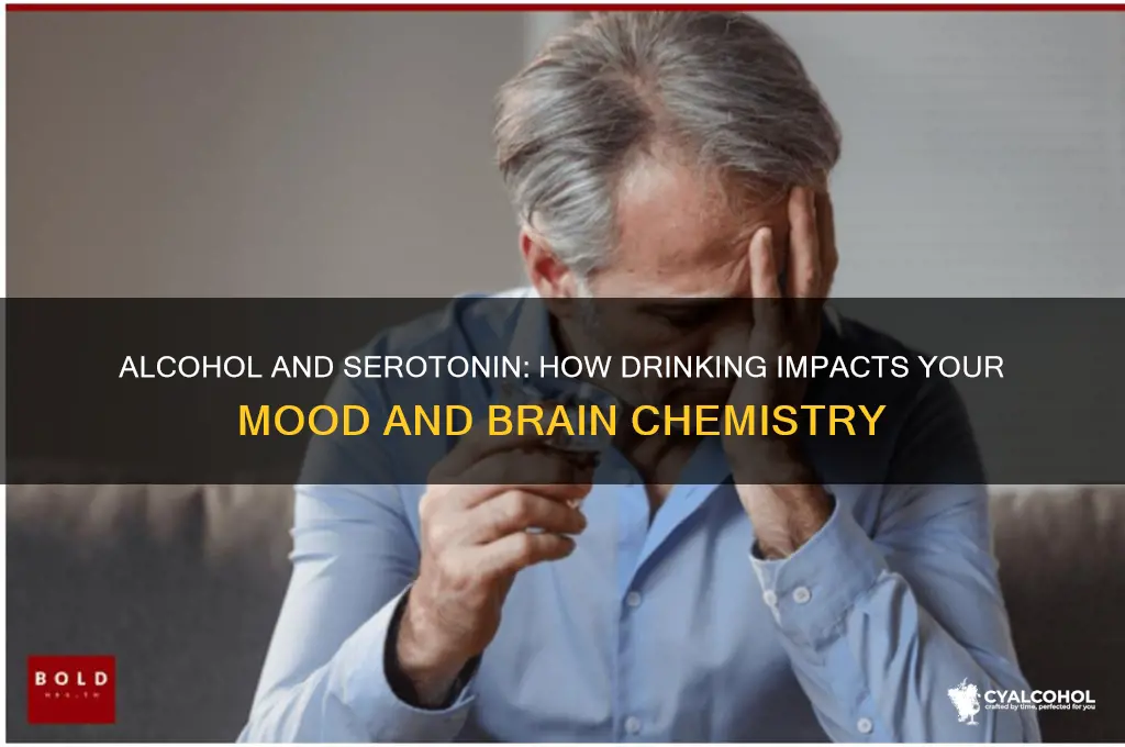 Alcohol And Serotonin: How Drinking Impacts Your Mood And Brain ...