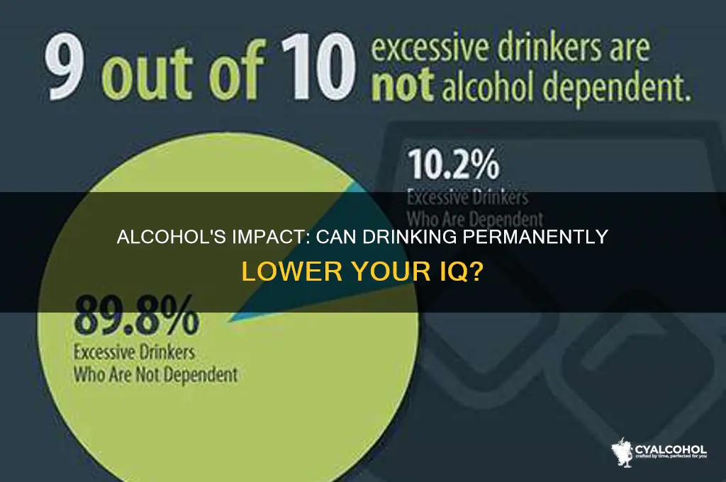 Alcohol's Impact: Can Drinking Permanently Lower Your Iq? | CyAlcohol