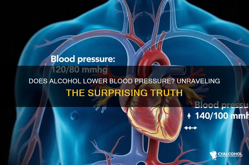 Does Alcohol Lower Blood Pressure? Unraveling The Surprising Truth ...