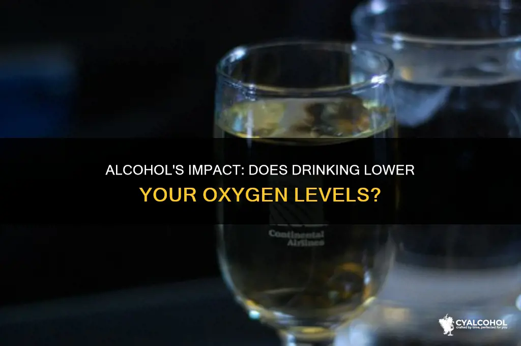 Alcohol's Impact: Does Drinking Lower Your Oxygen Levels? | CyAlcohol