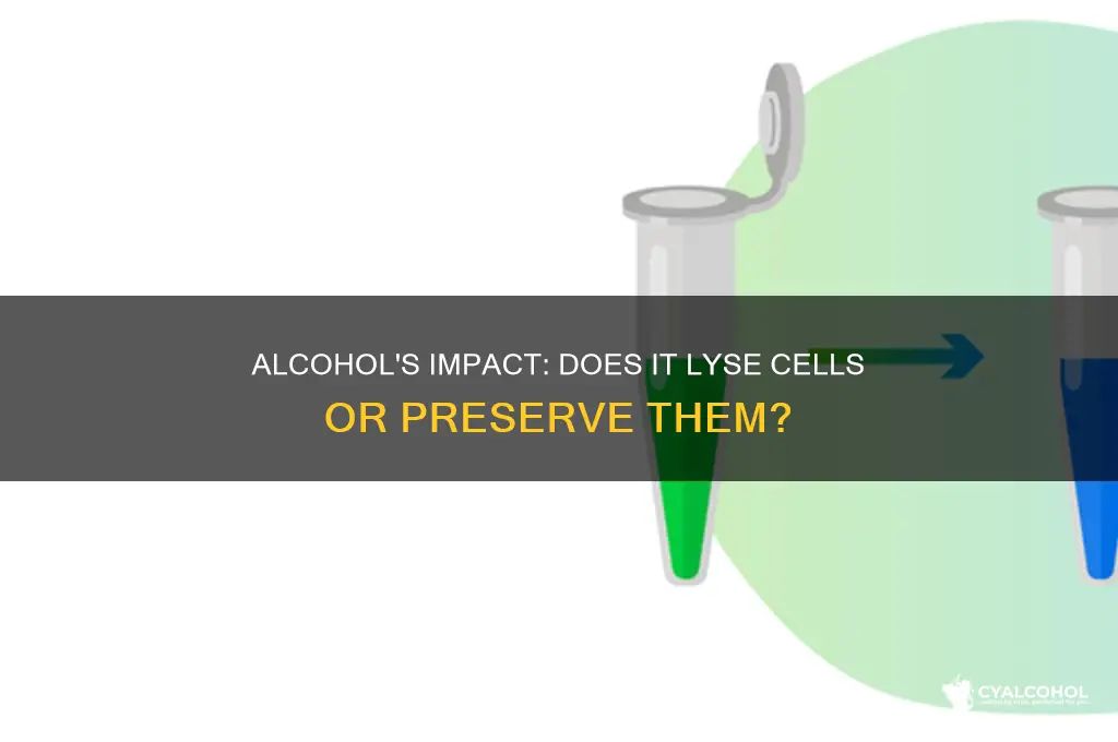 Alcohol's Impact: Does It Lyse Cells Or Preserve Them? | CyAlcohol