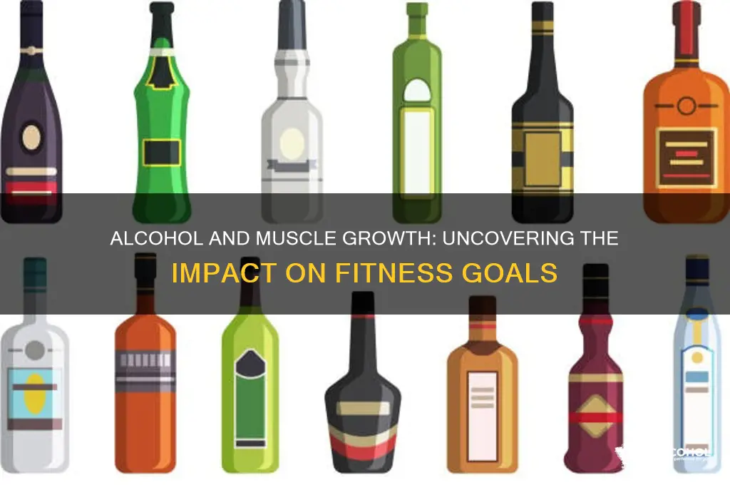 Alcohol And Muscle Growth: Uncovering The Impact On Fitness Goals ...