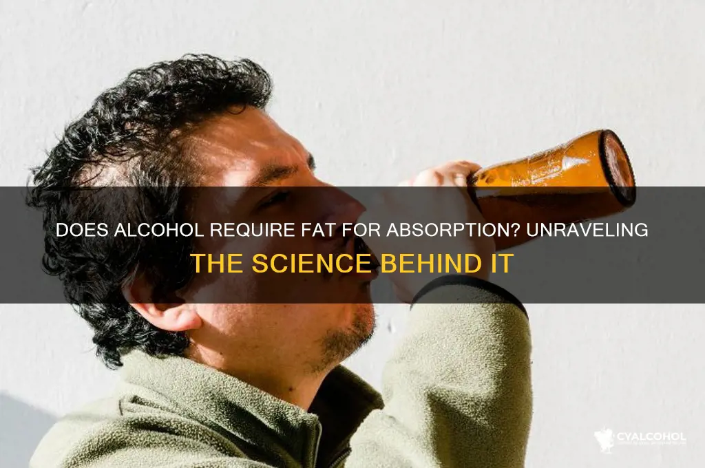 Does Alcohol Require Fat For Absorption? Unraveling The Science Behind ...