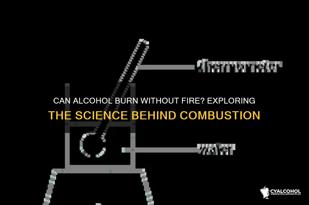 Can Alcohol Burn Without Fire? Exploring The Science Behind Combustion ...