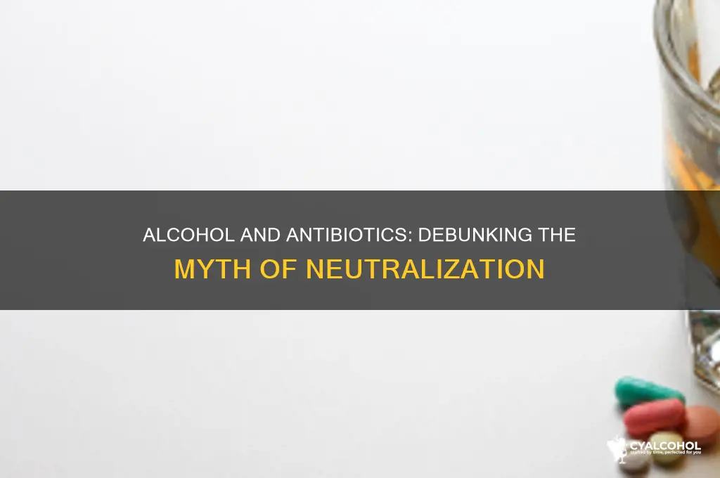 Alcohol And Antibiotics: Debunking The Myth Of Neutralization | CyAlcohol