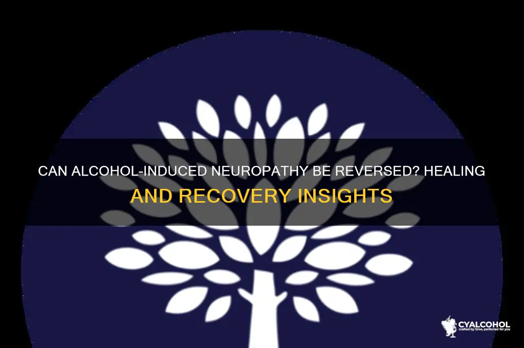Can Alcohol-Induced Neuropathy Be Reversed? Healing And Recovery ...