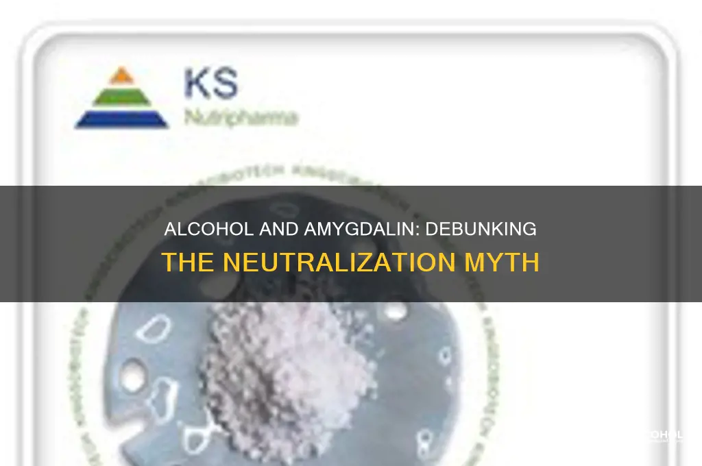 Alcohol And Amygdalin: Debunking The Neutralization Myth | CyAlcohol