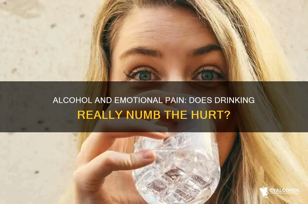 Alcohol And Emotional Pain: Does Drinking Really Numb The Hurt? | CyAlcohol
