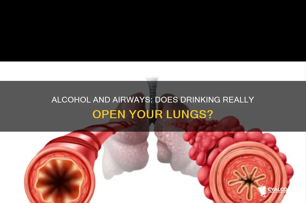 Alcohol And Airways: Does Drinking Really Open Your Lungs? | CyAlcohol