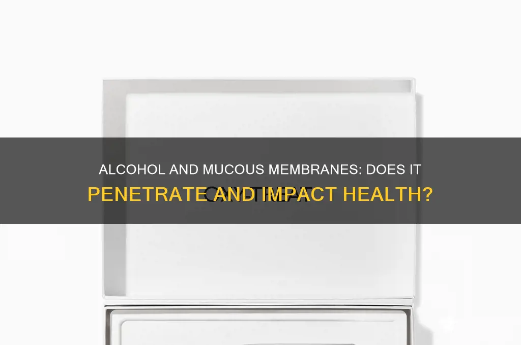 Alcohol And Mucous Membranes: Does It Penetrate And Impact Health ...