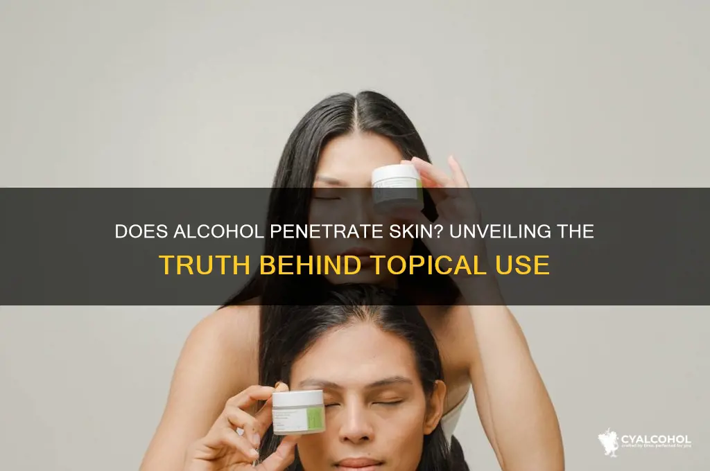 Does Alcohol Penetrate Skin? Unveiling The Truth Behind Topical Use ...