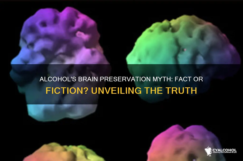 Alcohol's Brain Preservation Myth: Fact Or Fiction? Unveiling The Truth ...