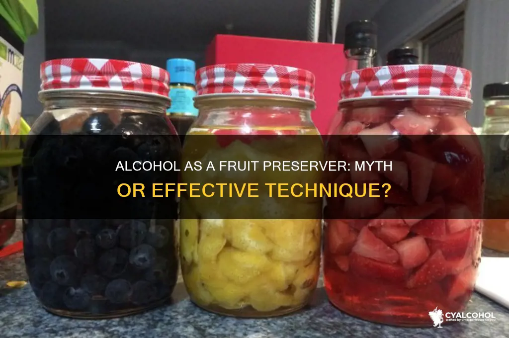Alcohol As A Fruit Preserver: Myth Or Effective Technique? | CyAlcohol