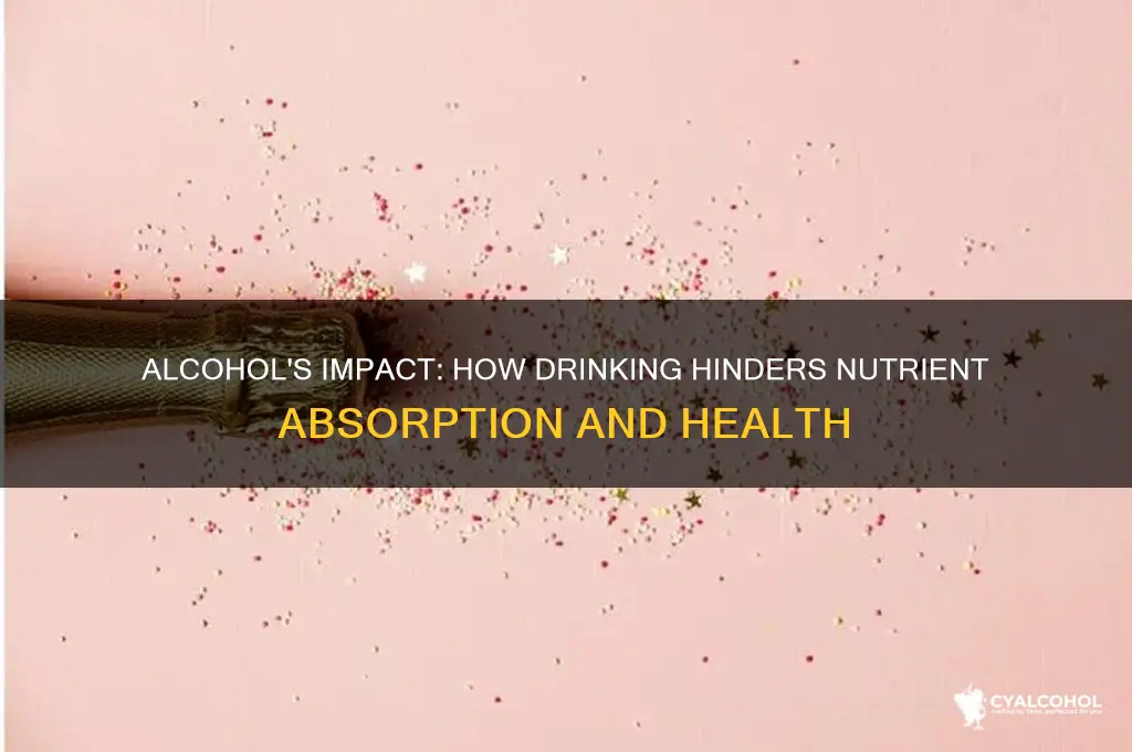Alcohol's Impact: How Drinking Hinders Nutrient Absorption And Health ...