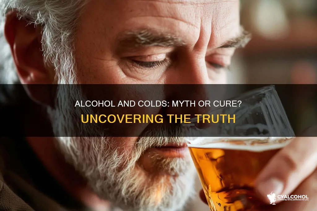 Alcohol And Colds: Myth Or Cure? Uncovering The Truth | CyAlcohol
