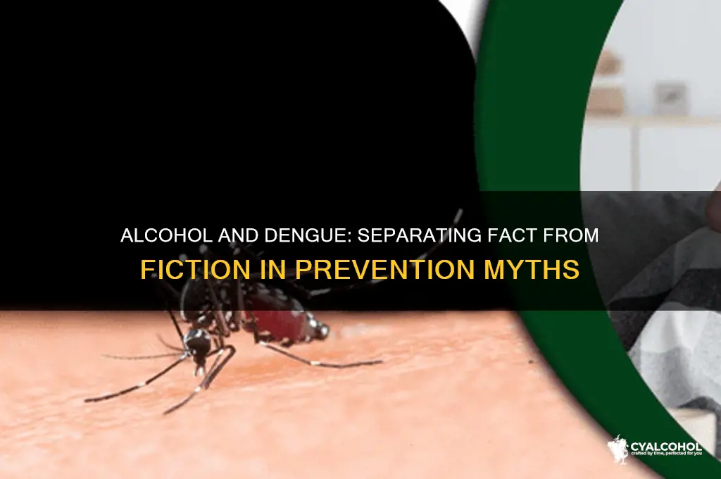 Alcohol And Dengue: Separating Fact From Fiction In Prevention Myths ...