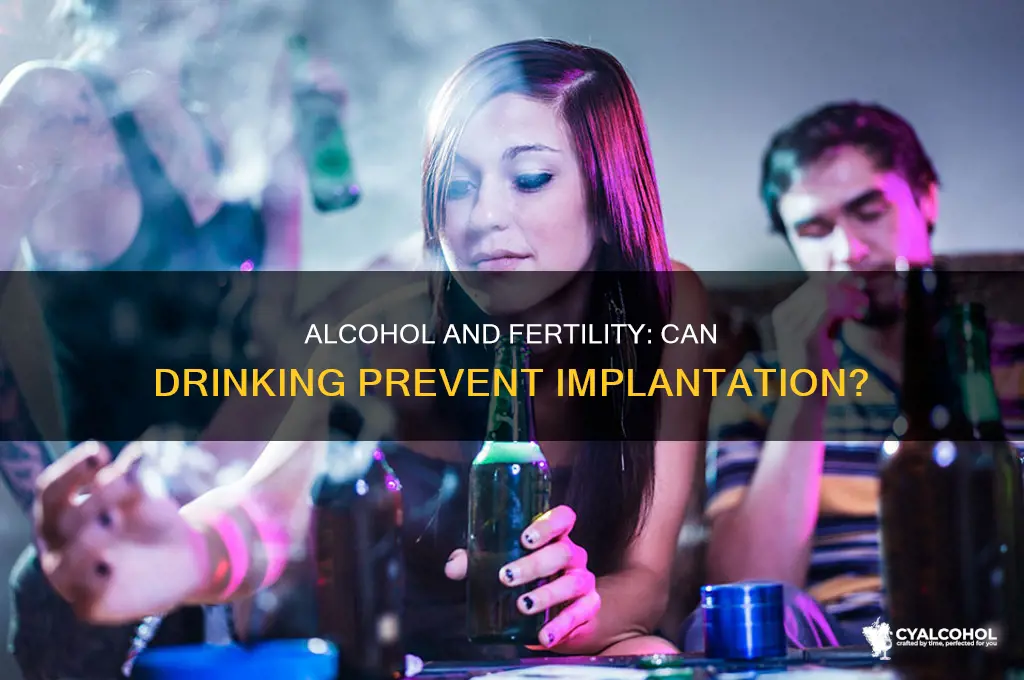 Alcohol And Fertility: Can Drinking Prevent Implantation? | CyAlcohol
