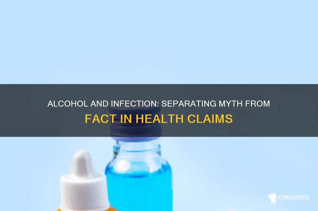 Alcohol And Infection: Separating Myth From Fact In Health Claims ...