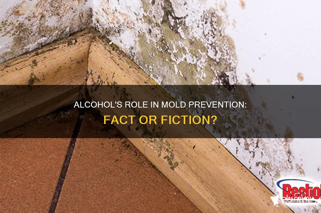 Alcohol's Role In Mold Prevention: Fact Or Fiction? | CyAlcohol