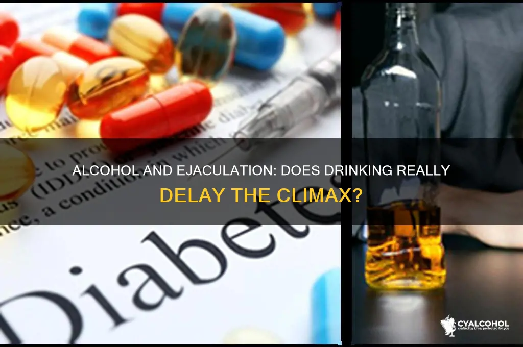 Alcohol And Ejaculation: Does Drinking Really Delay The Climax? | CyAlcohol