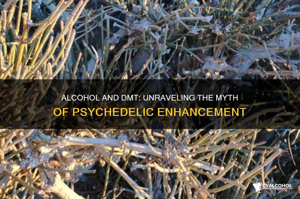 Alcohol And Dmt: Unraveling The Myth Of Psychedelic Enhancement | CyAlcohol