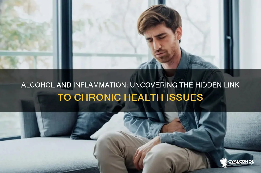 Alcohol And Inflammation: Uncovering The Hidden Link To Chronic Health ...