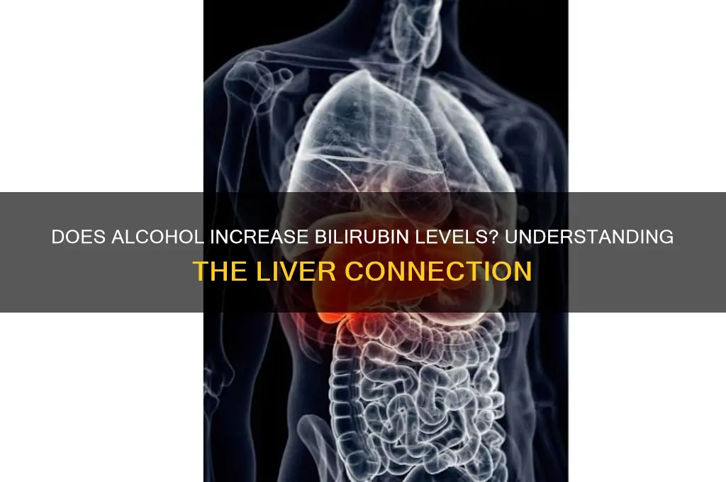 Does Alcohol Increase Bilirubin Levels? Understanding The Liver ...