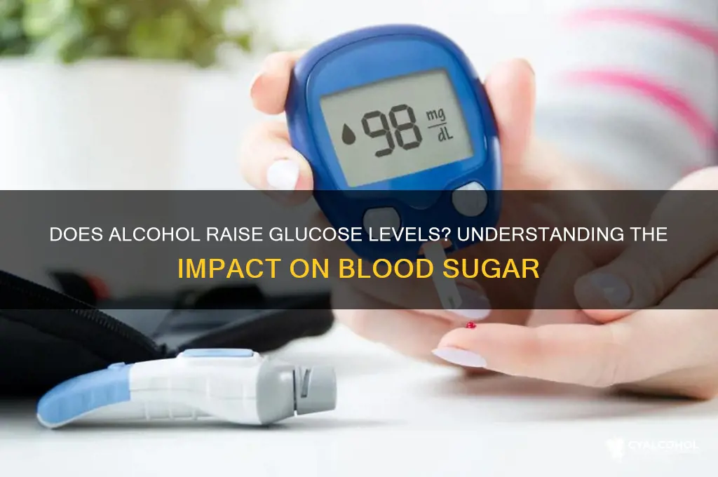 Does Alcohol Raise Glucose Levels? Understanding The Impact On Blood ...