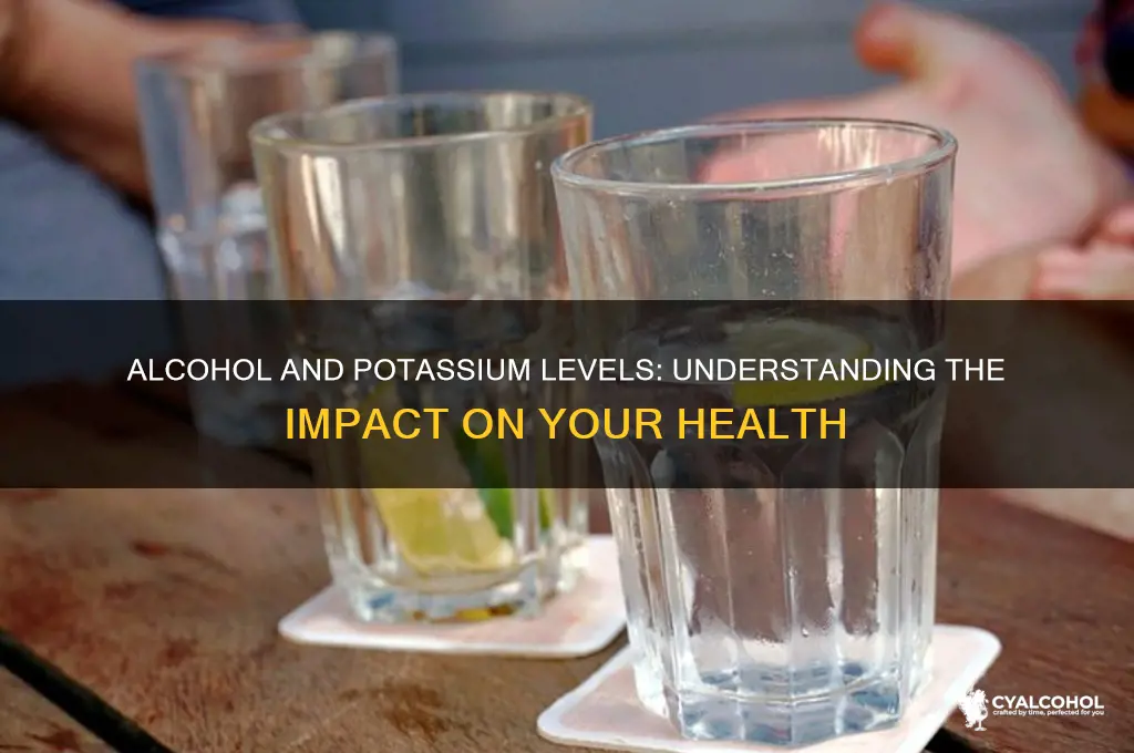 Alcohol And Potassium Levels: Understanding The Impact On Your Health ...