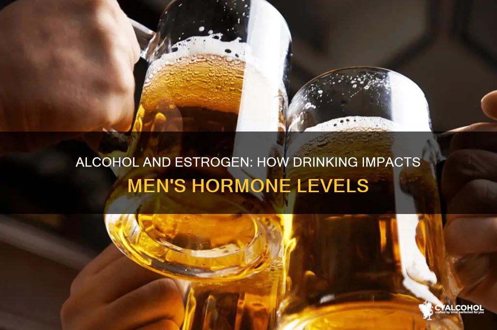 Alcohol And Estrogen: How Drinking Impacts Men's Hormone Levels | CyAlcohol
