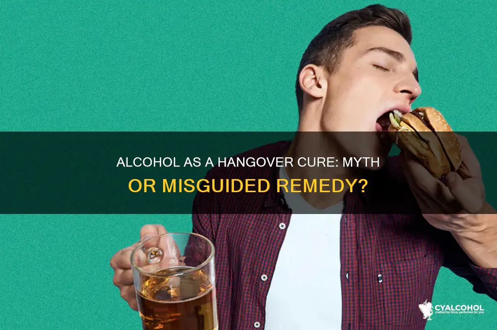 Alcohol As A Hangover Cure: Myth Or Misguided Remedy? | CyAlcohol